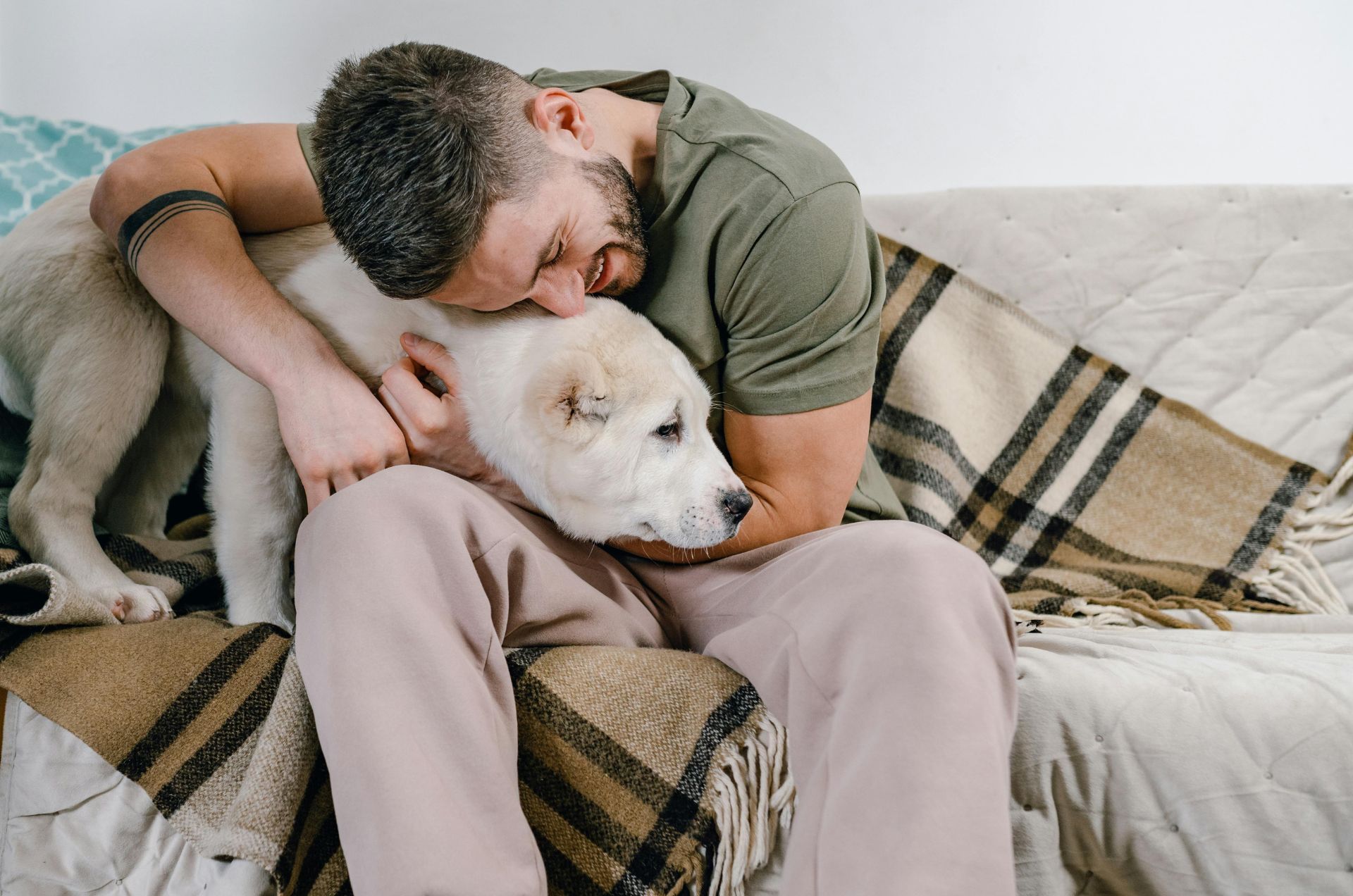 Cómo puedo superar la muerte de mi perro